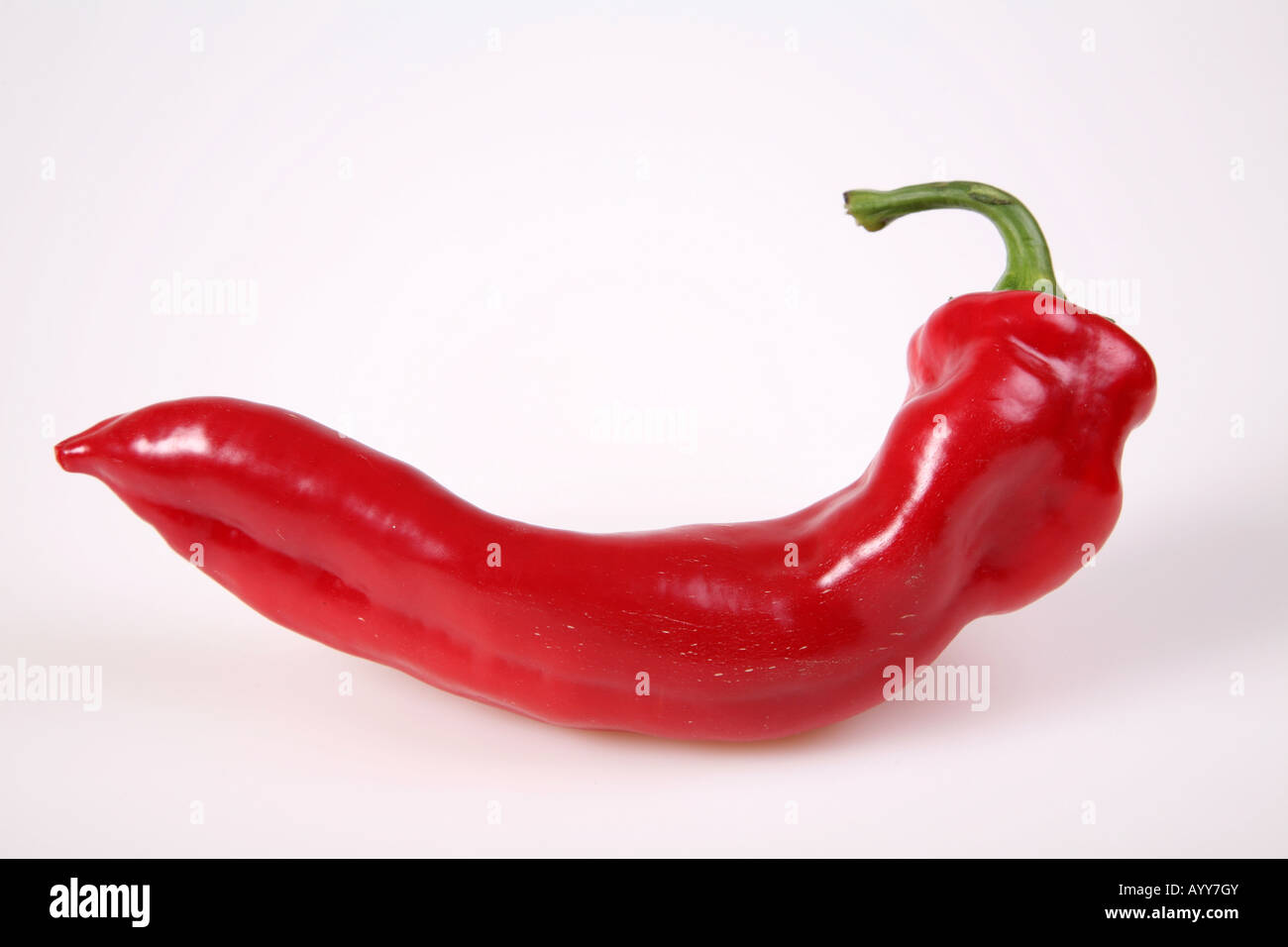 One red chili hi-res stock photography and images - Alamy