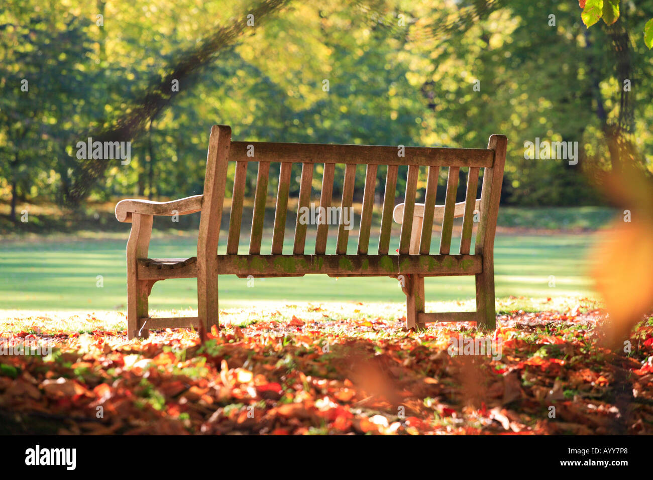 Trinity college cambridge leaves hi-res stock photography and images ...