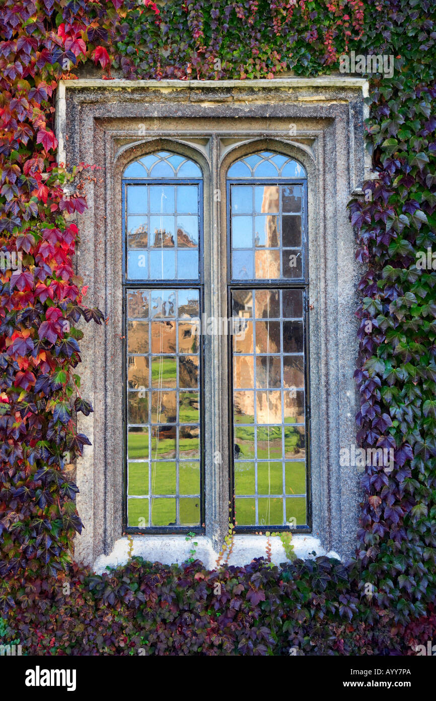 "Trinity College" Cambridge university old window with Virginia Creeper ...