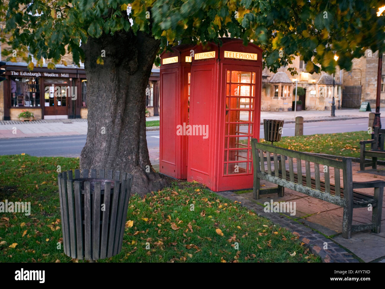 Two traditional red telephone boxes underneath a horse chestnut tree at ...