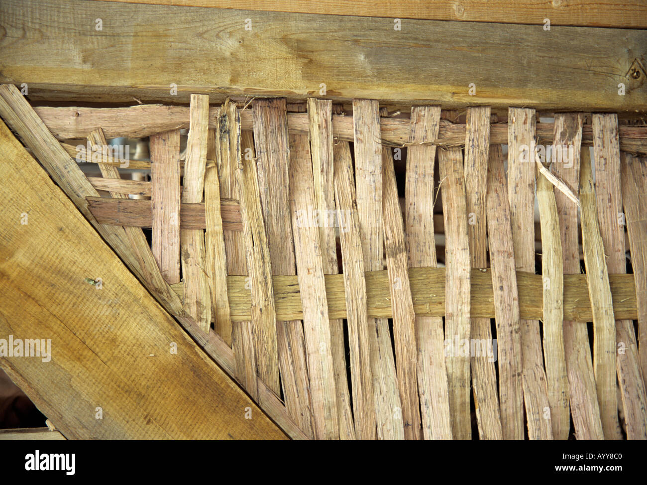 Split and cut timber to make wattle in a Wattle and Daub walls with a ...