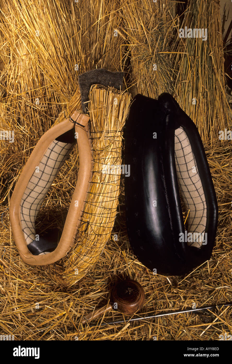 Heavy plough collar hi-res stock photography and images - Alamy