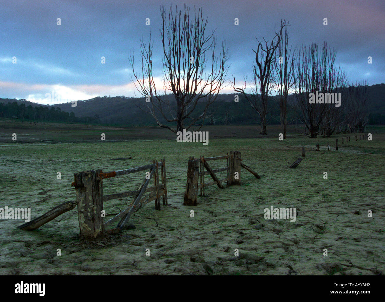 old fence posts Stock Photo - Alamy