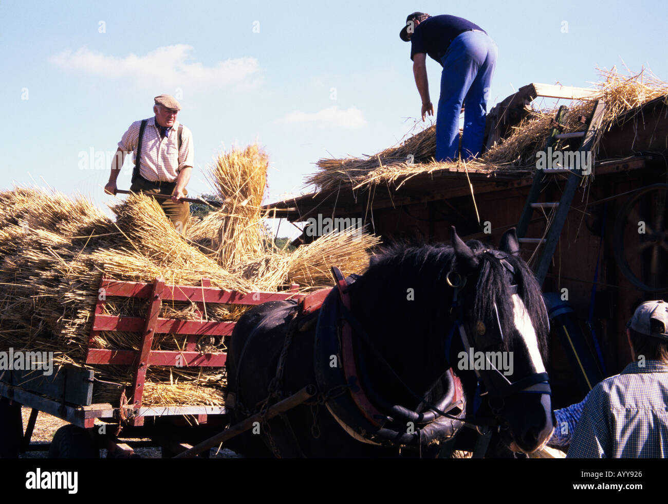 Horse threshing machine hi-res stock photography and images - Alamy