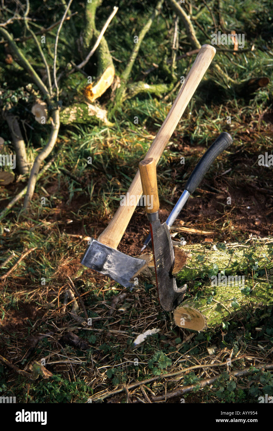 Axe hedge hi-res stock photography and images - Alamy