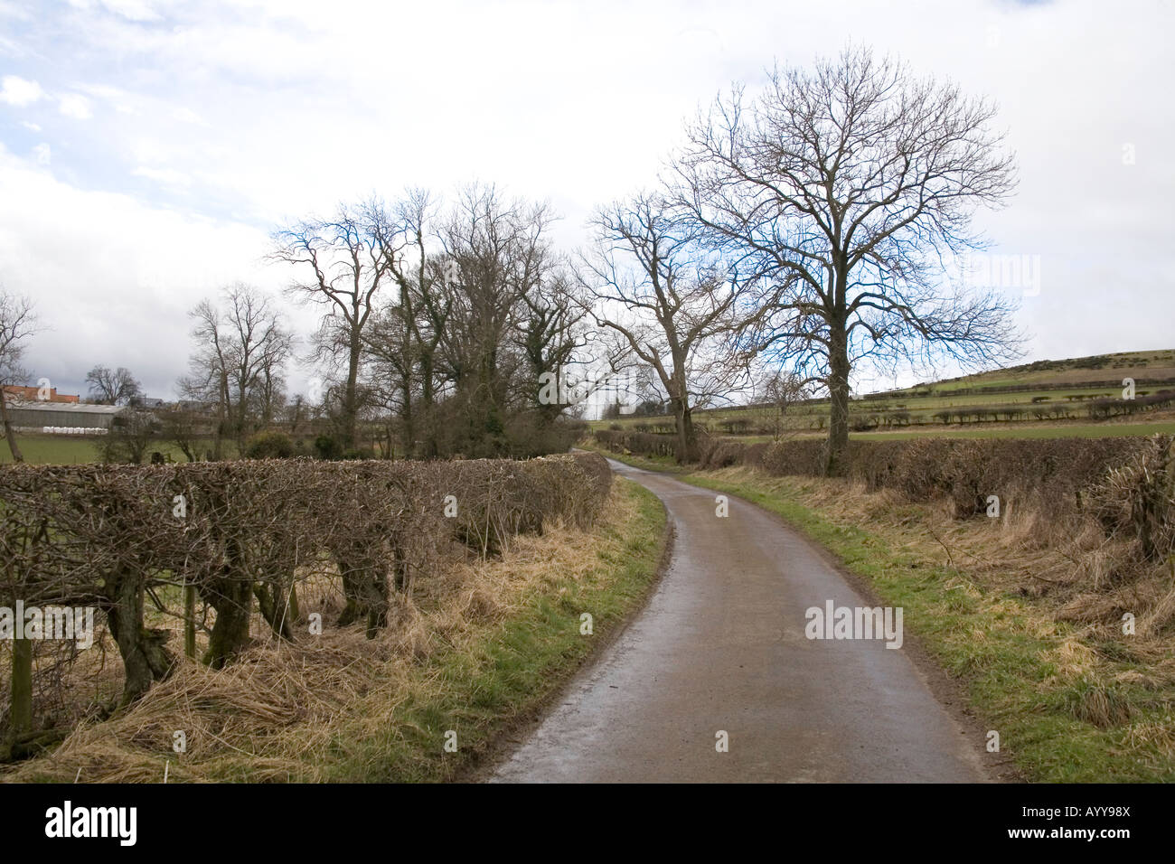 Old english country lane hi-res stock photography and images - Alamy