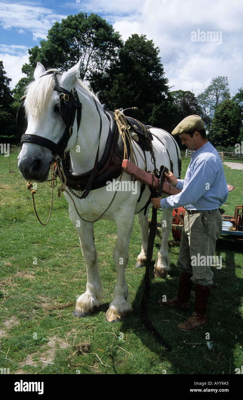 Acton scott historical working farm hi-res stock photography and images ...