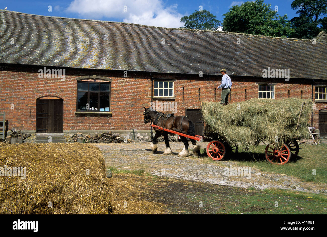 Acton scott historical working farm hi-res stock photography and images ...