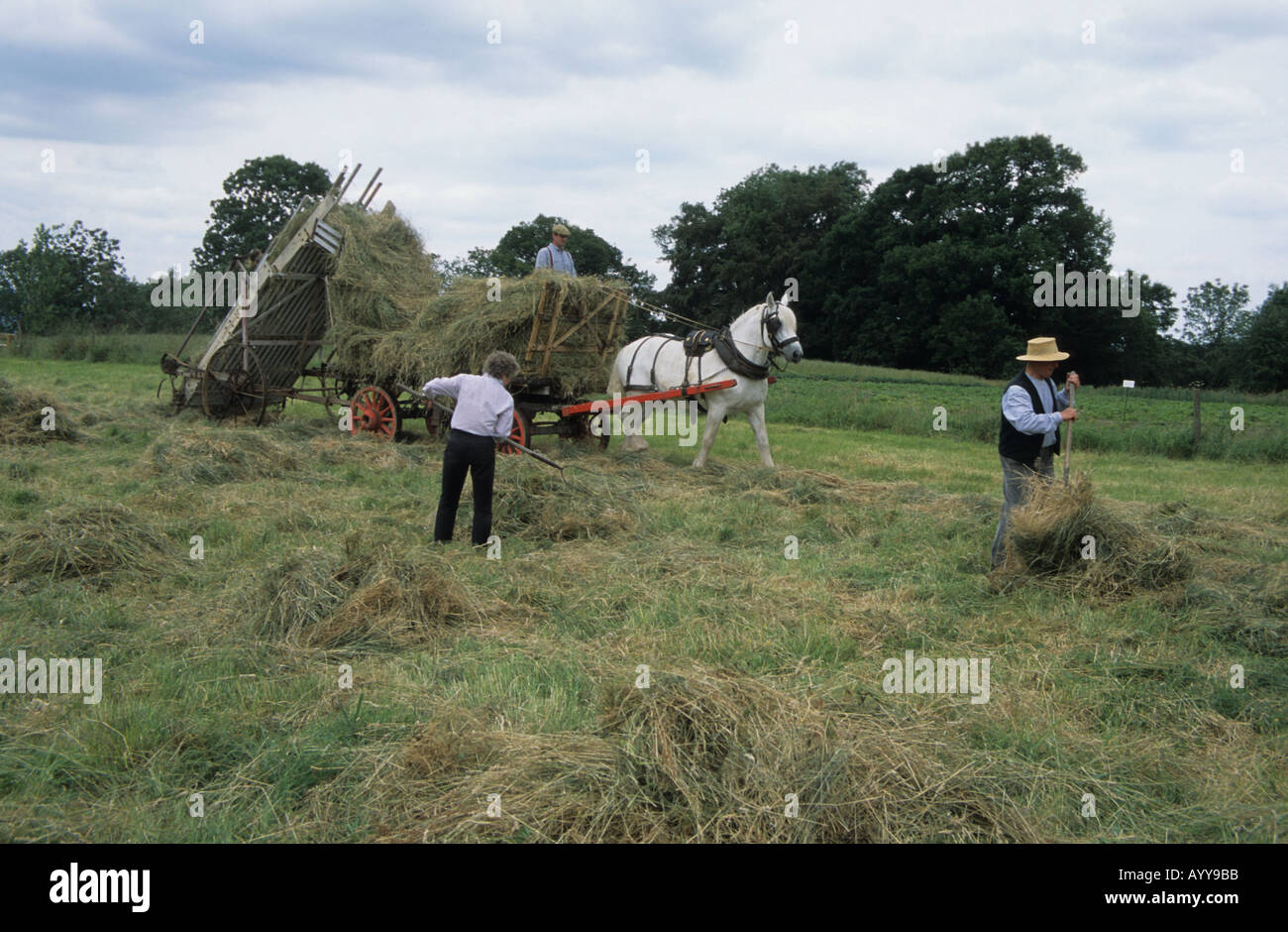 Horse hay wagon hi-res stock photography and images - Alamy