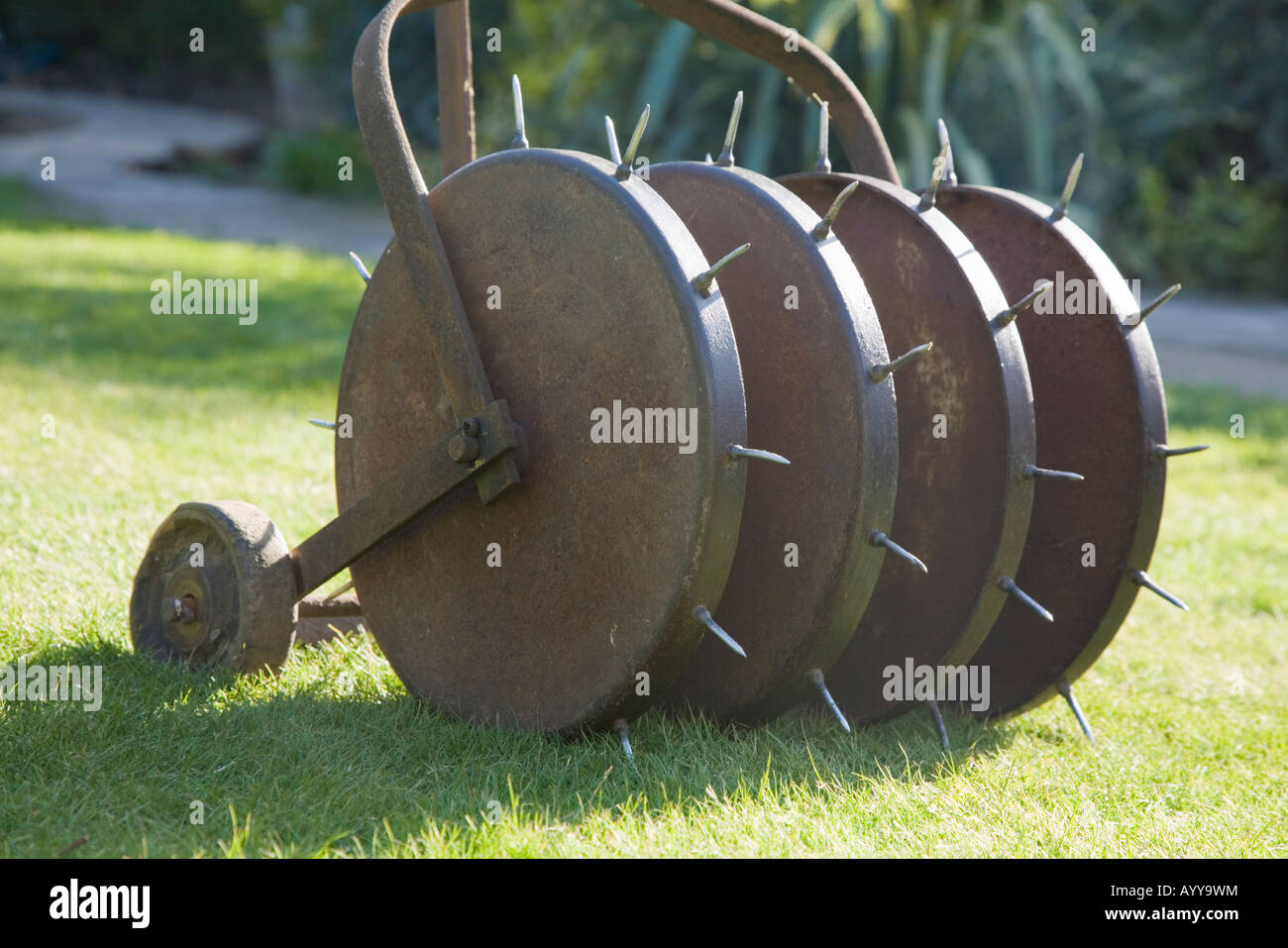 Old lawn aerator spiking Stock Photo - Alamy