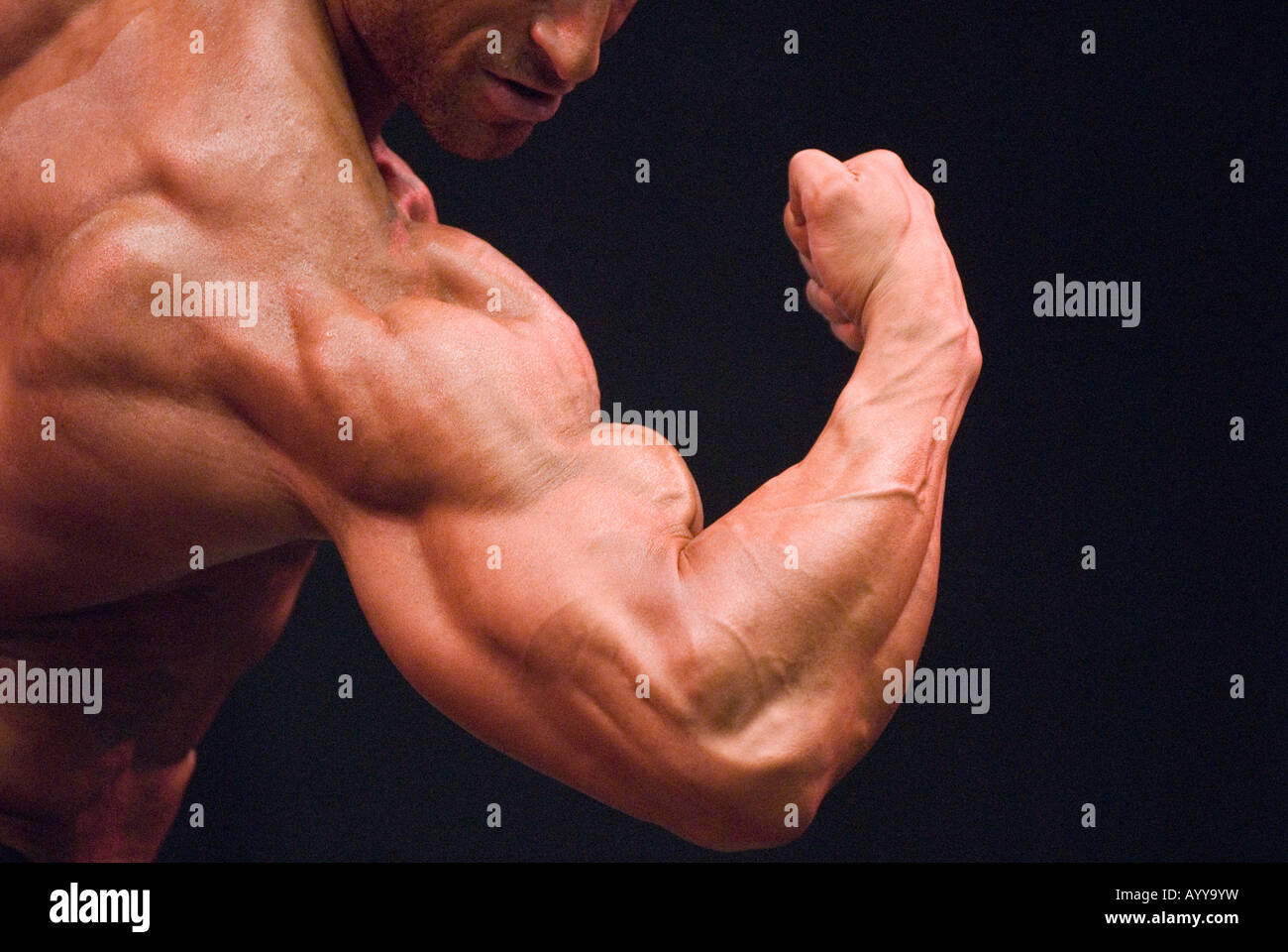 Muscle of male hi-res stock photography and images - Alamy