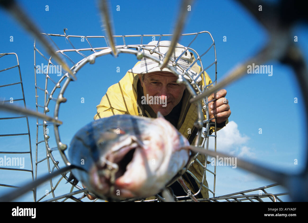 Putcher severn hi-res stock photography and images - Alamy