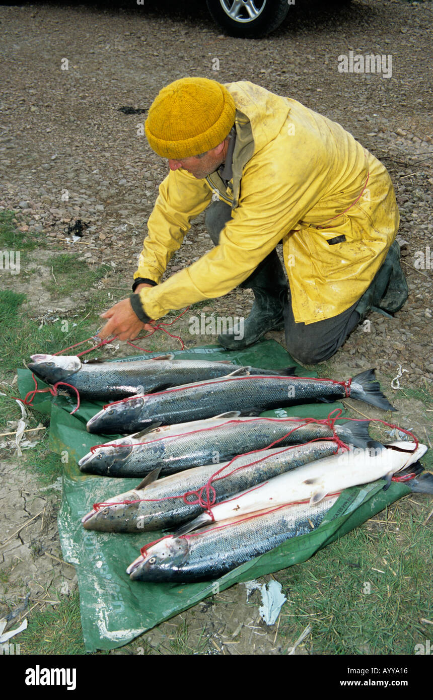 Putcher fishing hi-res stock photography and images - Alamy