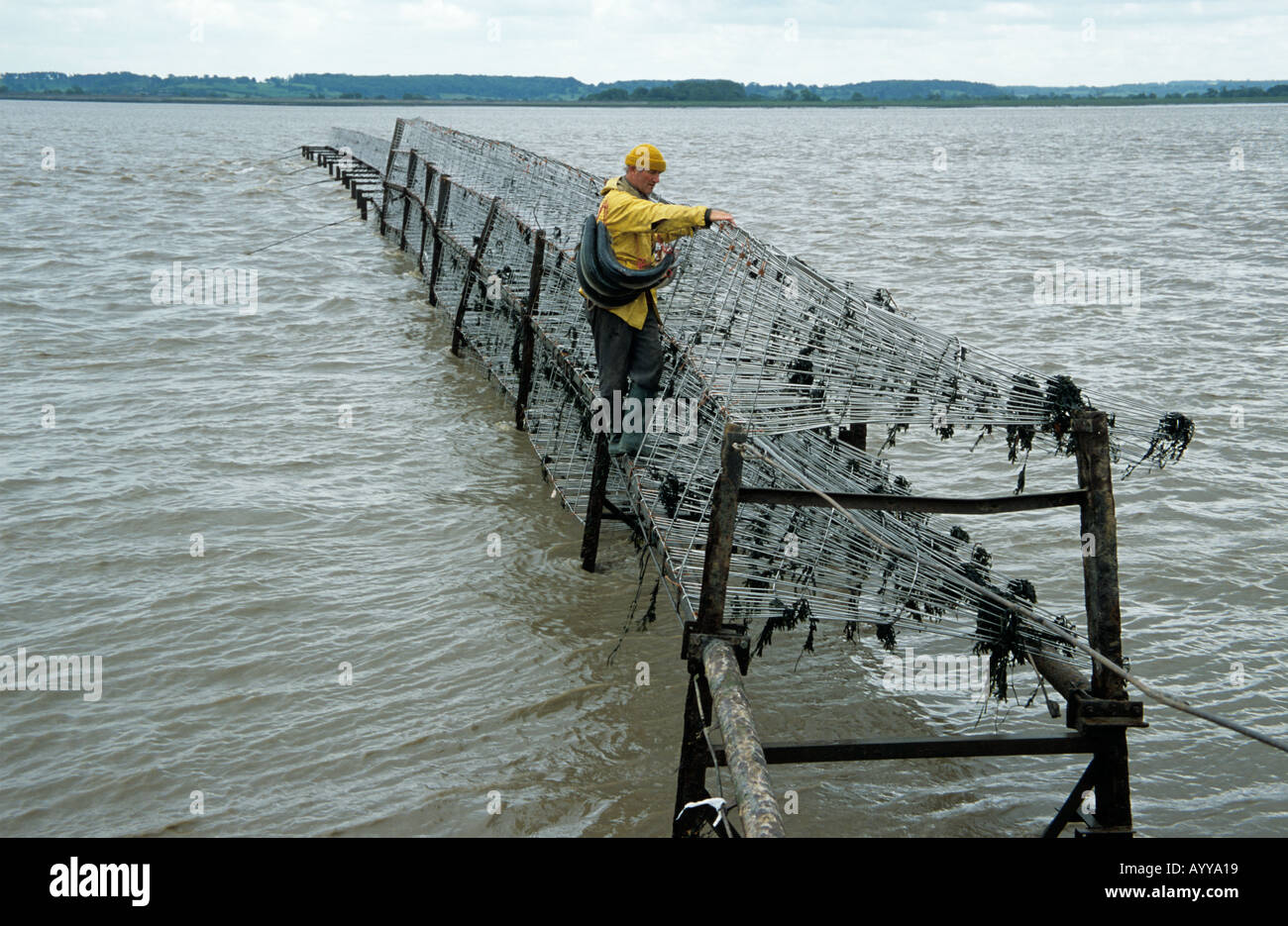 Putcher fishing hi-res stock photography and images - Alamy