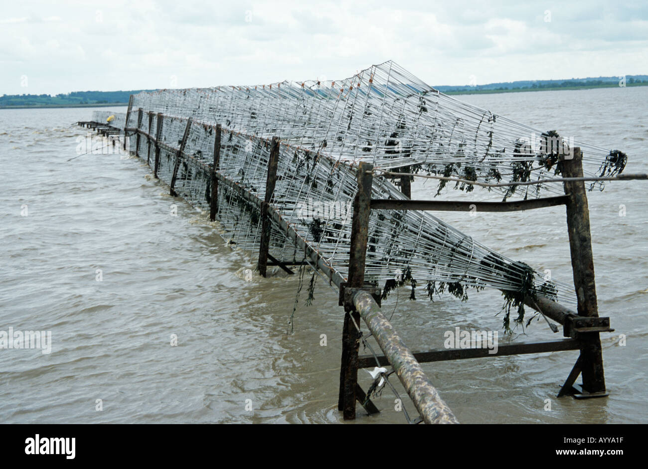 Putcher fishing hi-res stock photography and images - Alamy