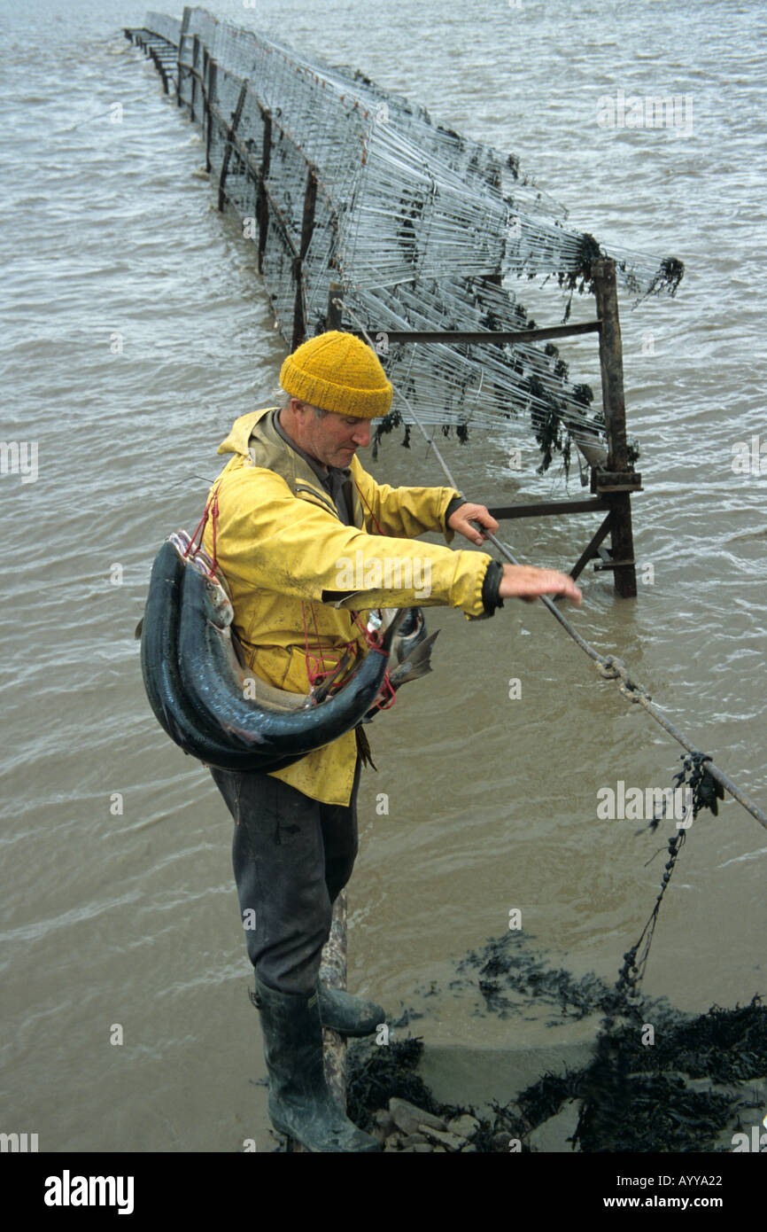 Putcher Fishing High Resolution Stock Photography and Images - Alamy