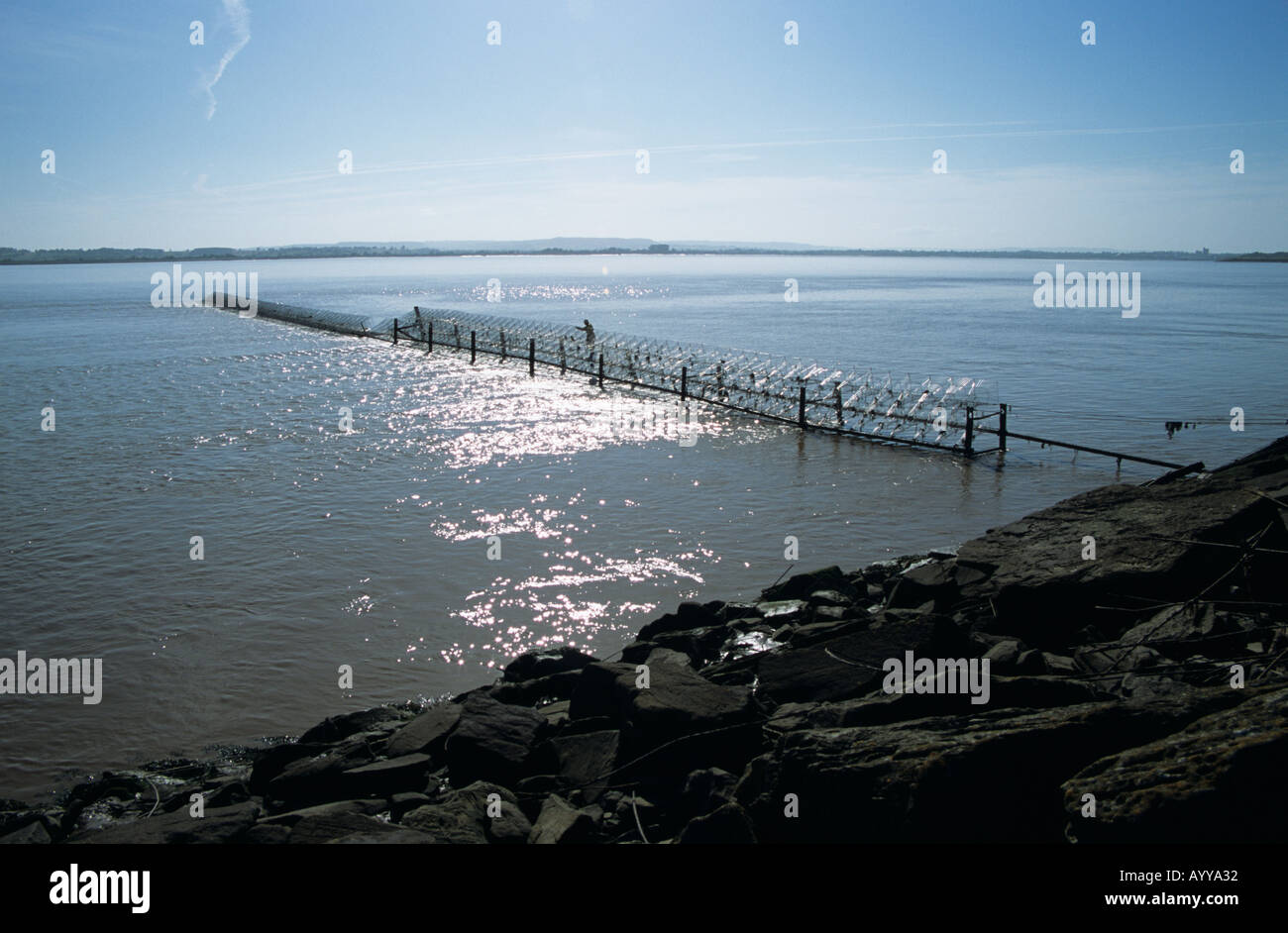 Putcher Fishing High Resolution Stock Photography and Images - Alamy