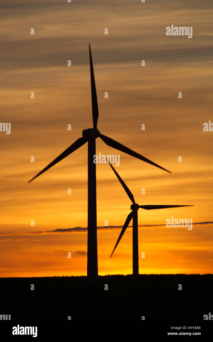 Wind turbines at sunset Stock Photo - Alamy