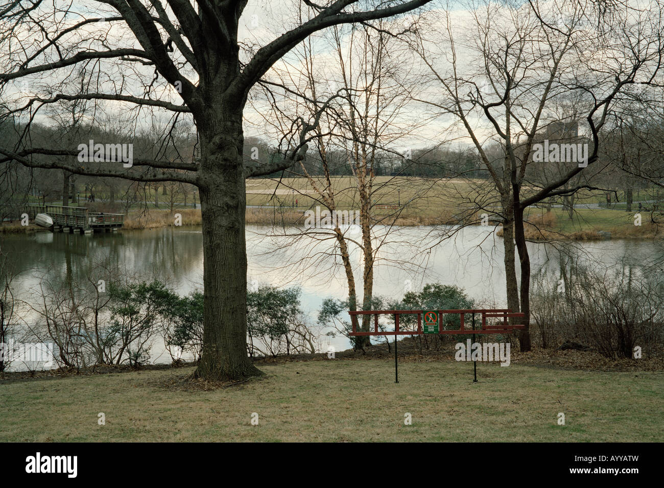 A warm and snowless winter in Central Park New York City February 2008 ...
