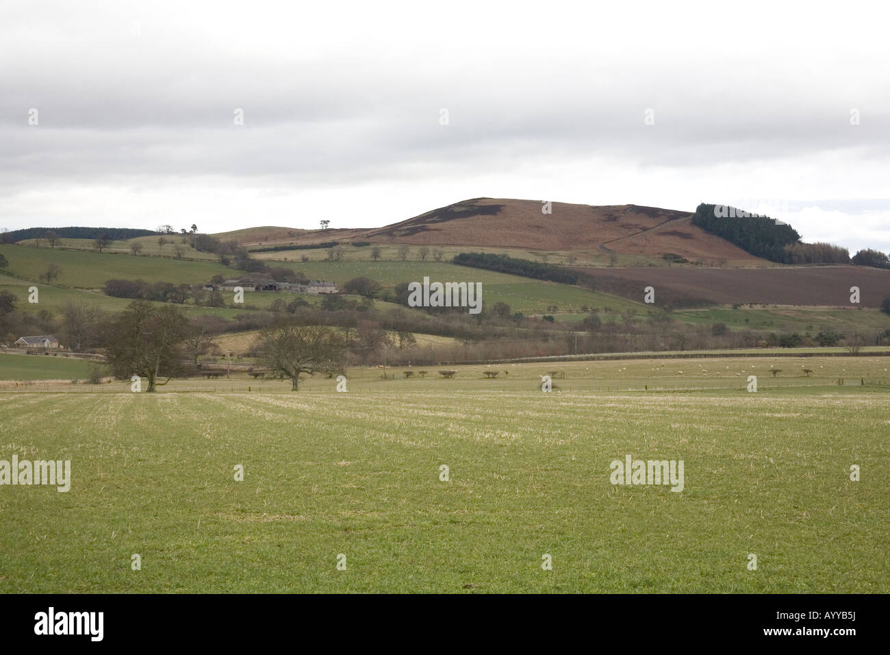 Glanton northumberland hi-res stock photography and images - Alamy