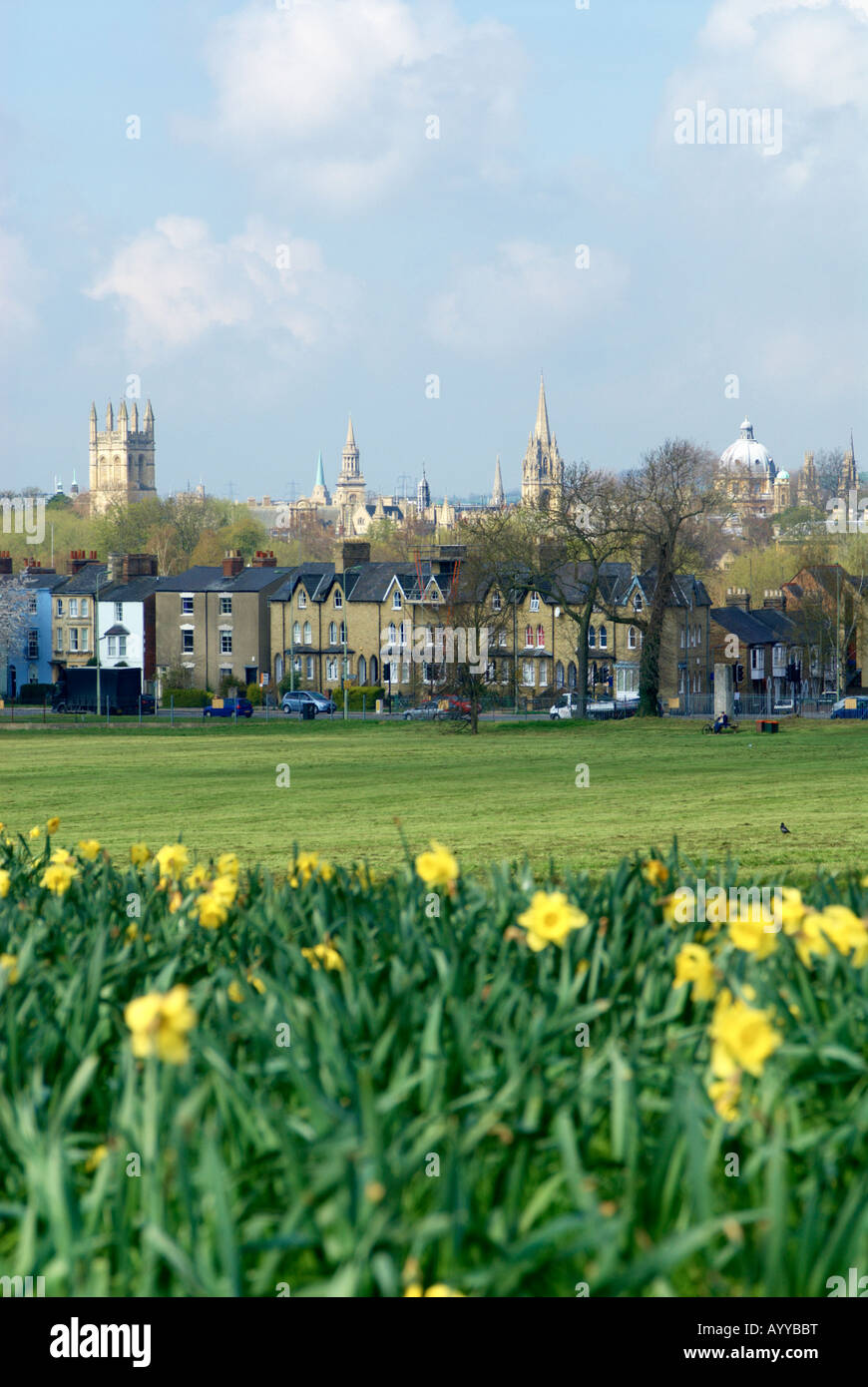 Spring Flowers in South Parks, Oxford, England Stock Photo - Alamy