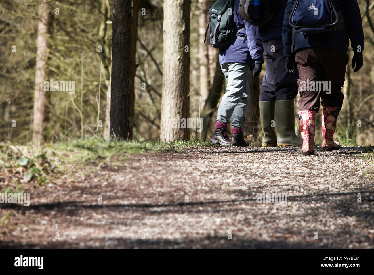 People in wellies walking through a woods Stock Photo - Alamy