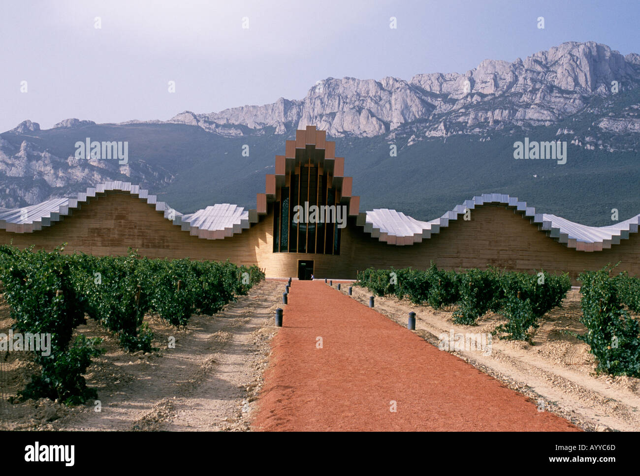 Bodegas Ysios Wine Cellar, Built By Santiago Calatrava,, 47% OFF