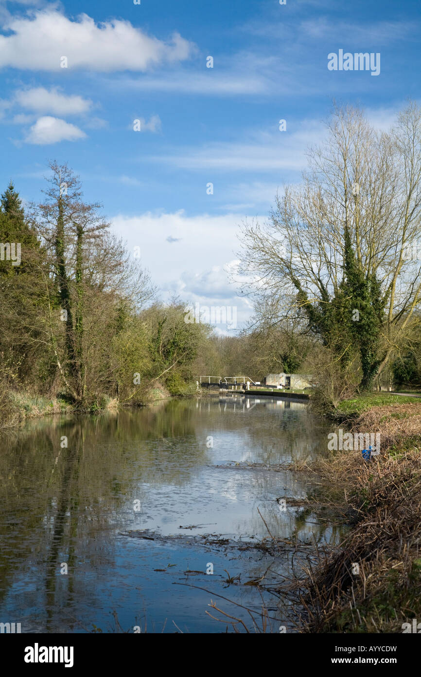 Theale reading hi-res stock photography and images - Alamy
