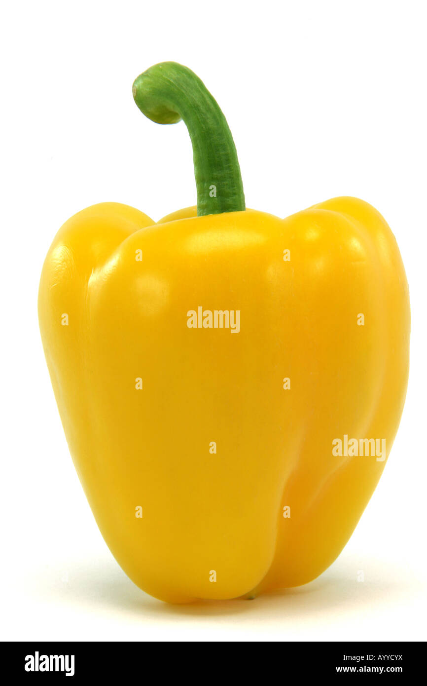 yellow pepper closeup isolated on white background food and vegetables ...