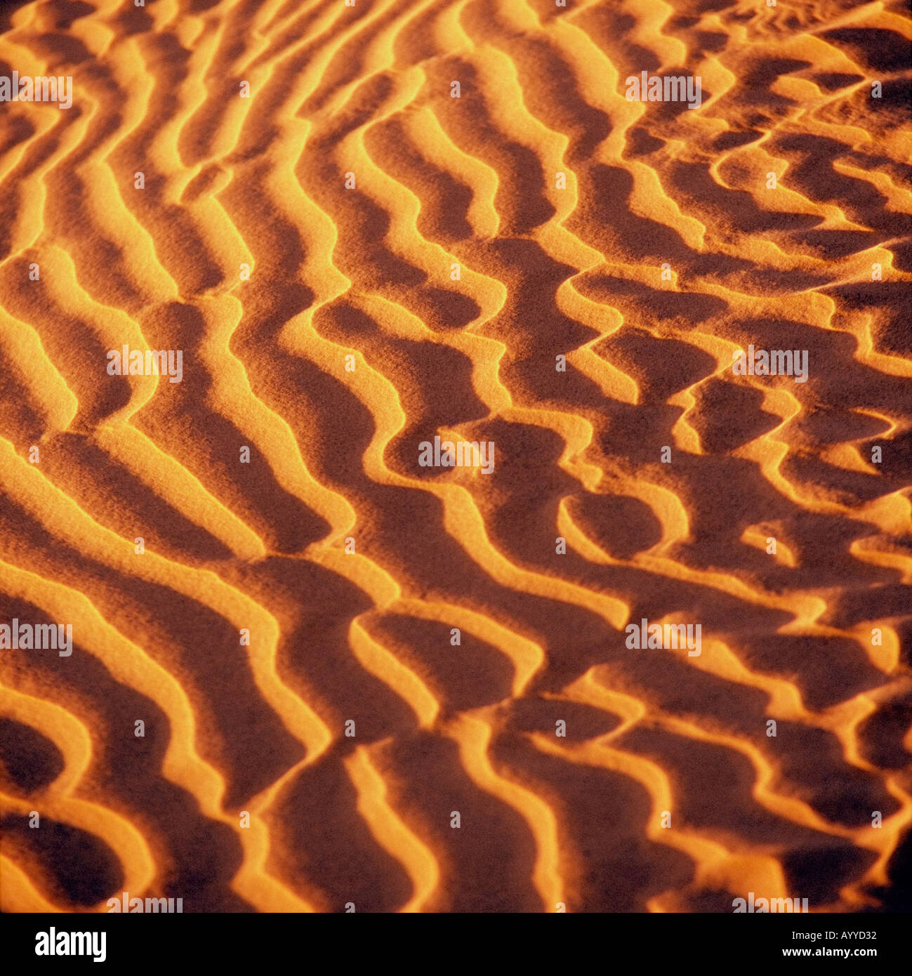 Sand Background Repeat