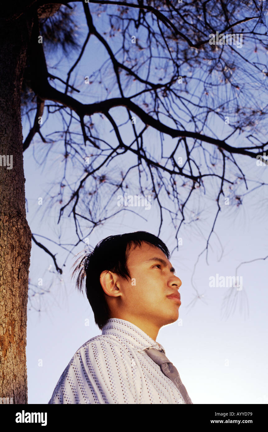 Businessman standing under tree hi-res stock photography and images - Alamy