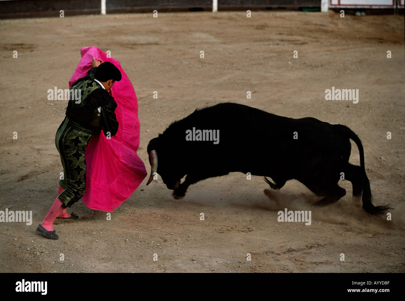 A matador goads the bull to charge with his cape during a bullfight in ...