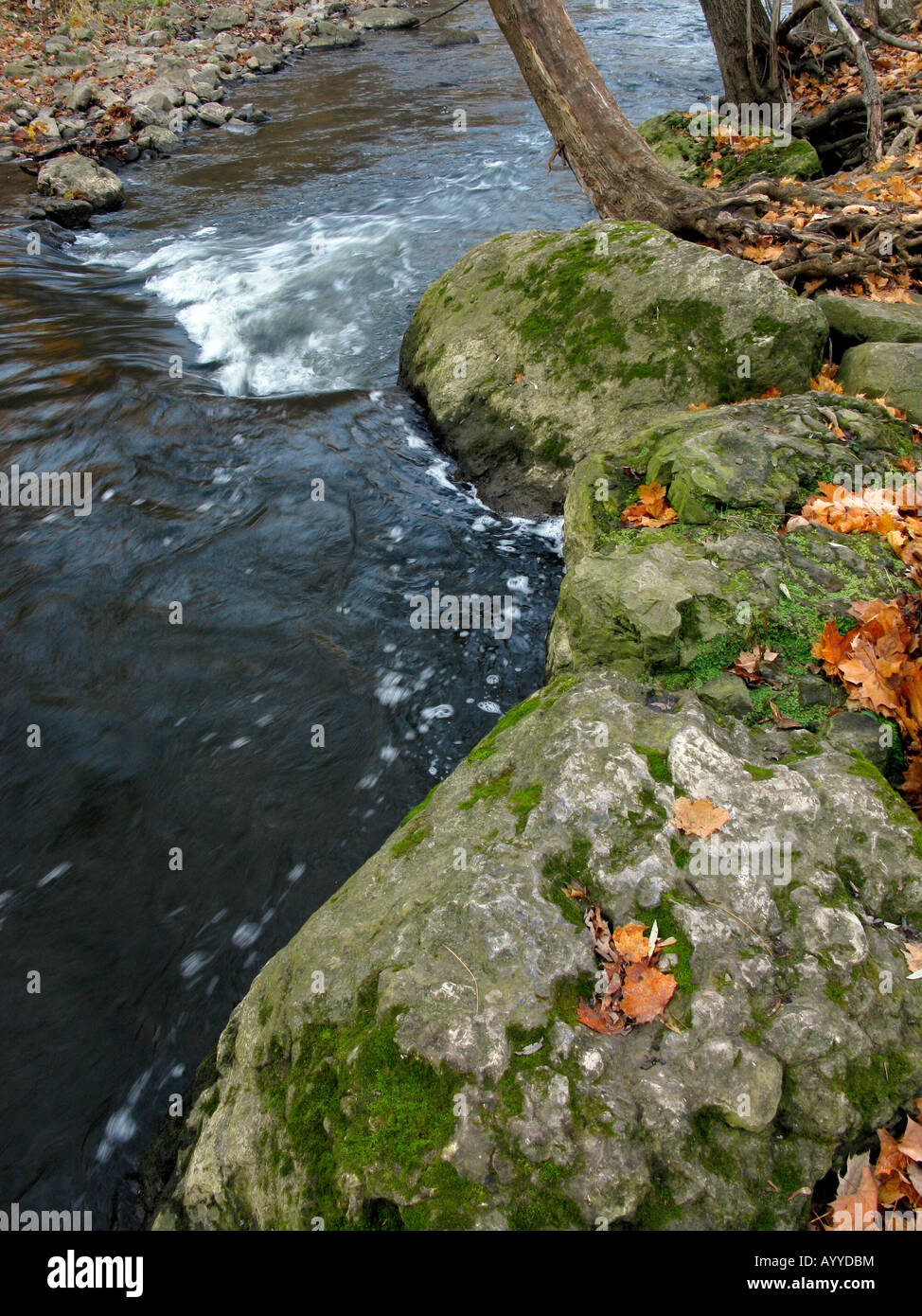 Rushing stream in autumn Stock Photo - Alamy
