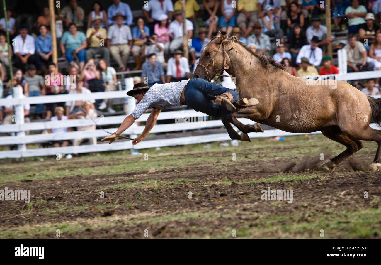 rodeo horse Uruguay fiesta gaucho cow-boy cowboy Stock Photo - Alamy