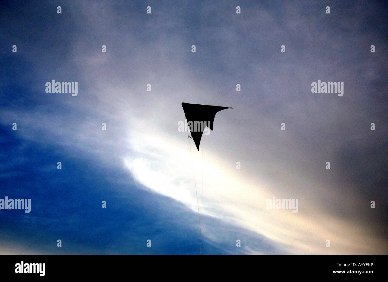 Kite silhouetted against evening sky Stock Photo - Alamy