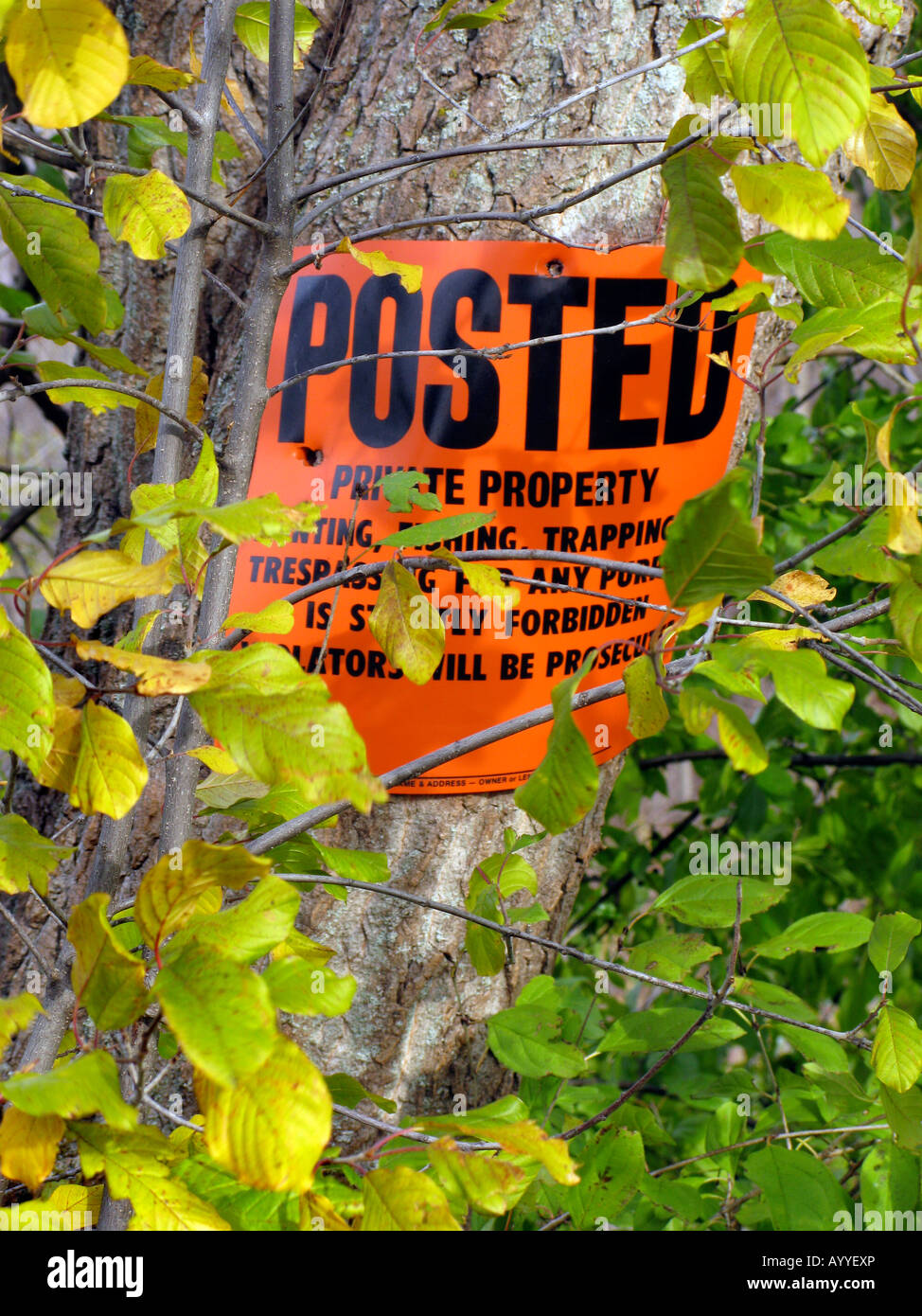 Tree posted hi-res stock photography and images - Alamy