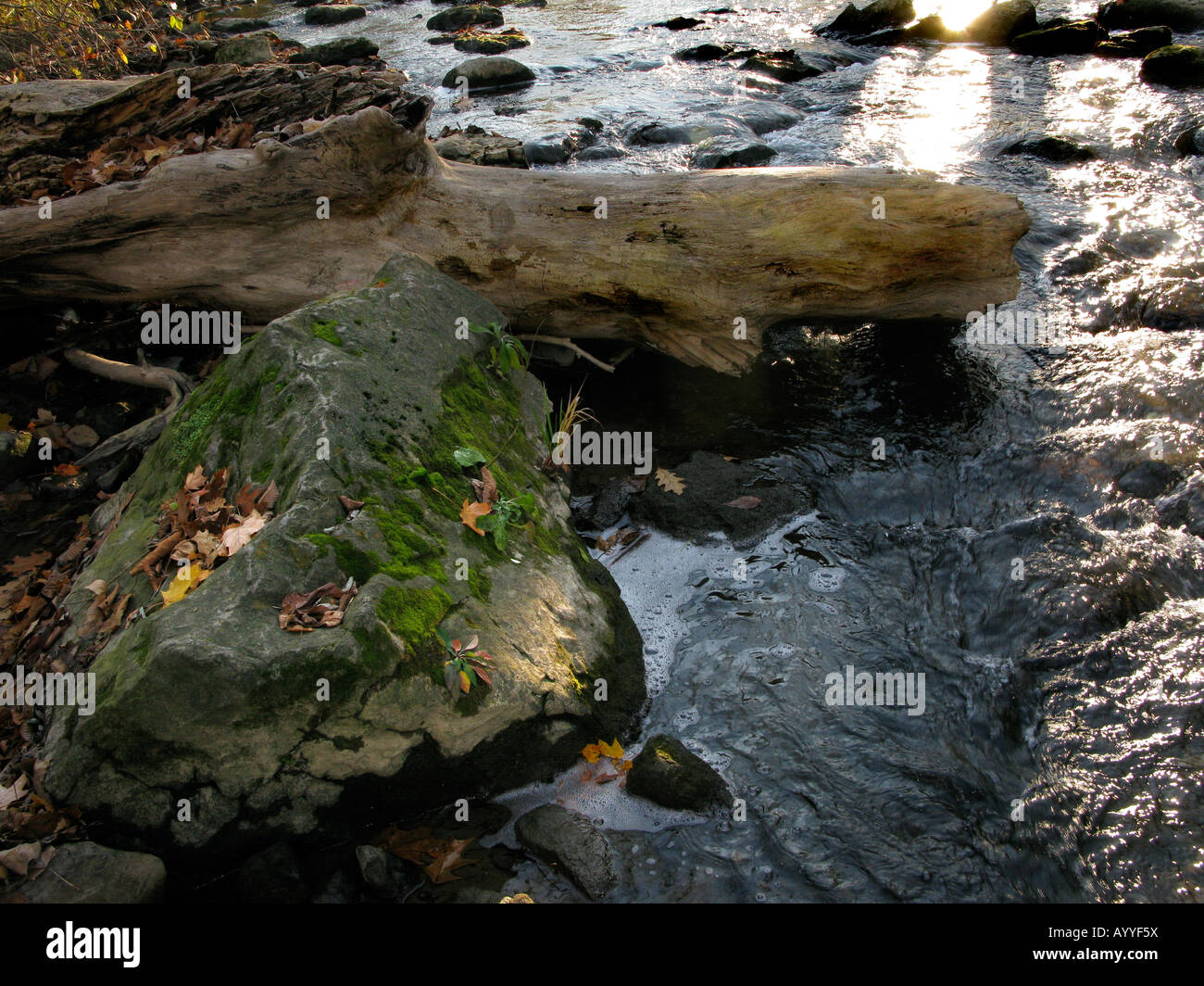 Glowing stream in autumn Stock Photo - Alamy