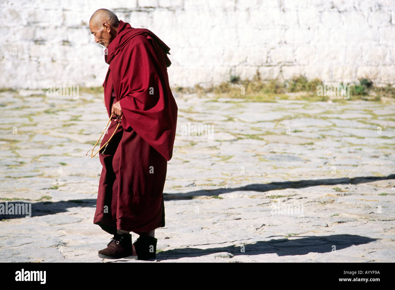 One old Tibetan Buddhist monk priest wearing red walking hunched over ...