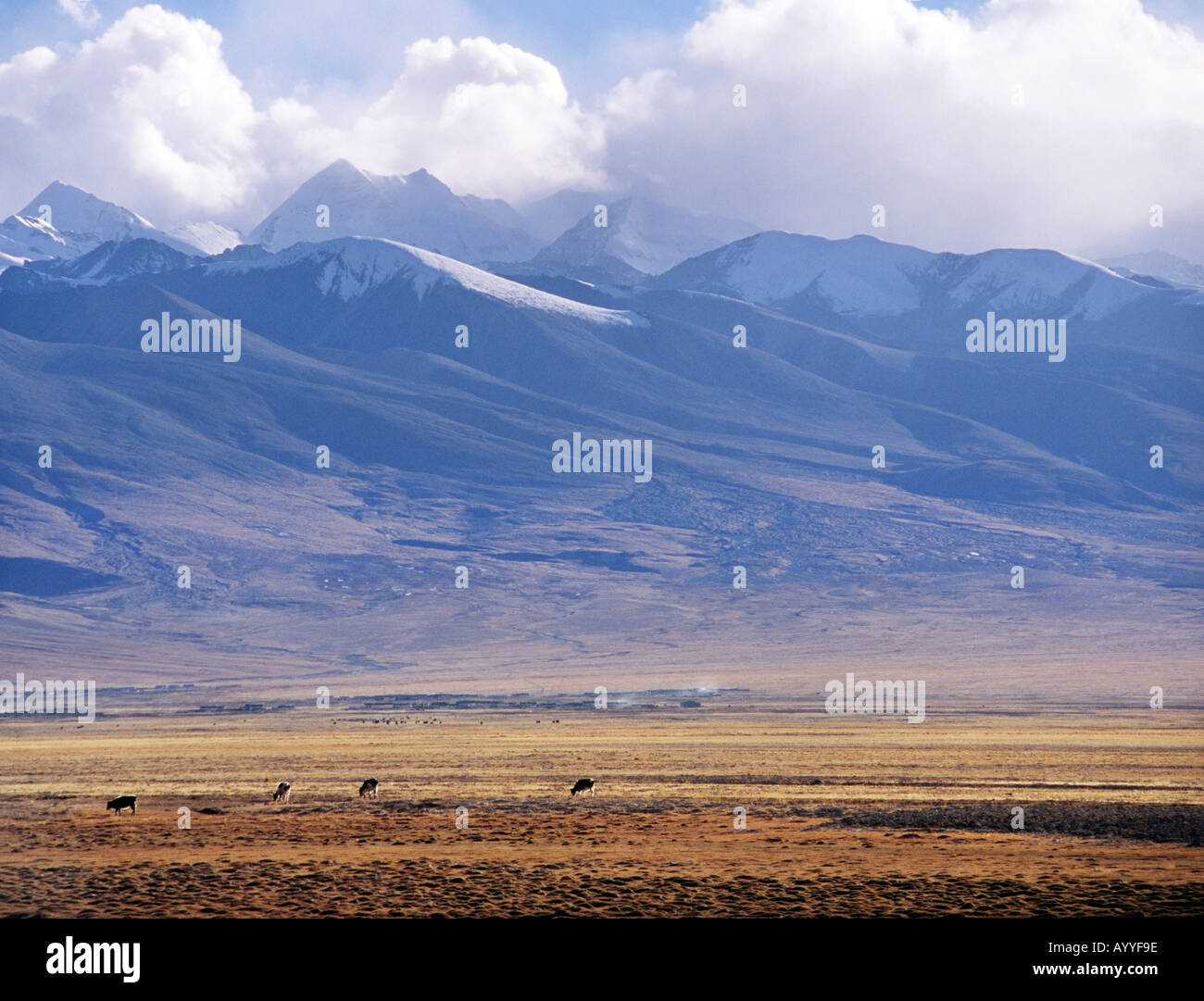 Extreme landscape terrain with Tibetan desert like valleys rolling ...