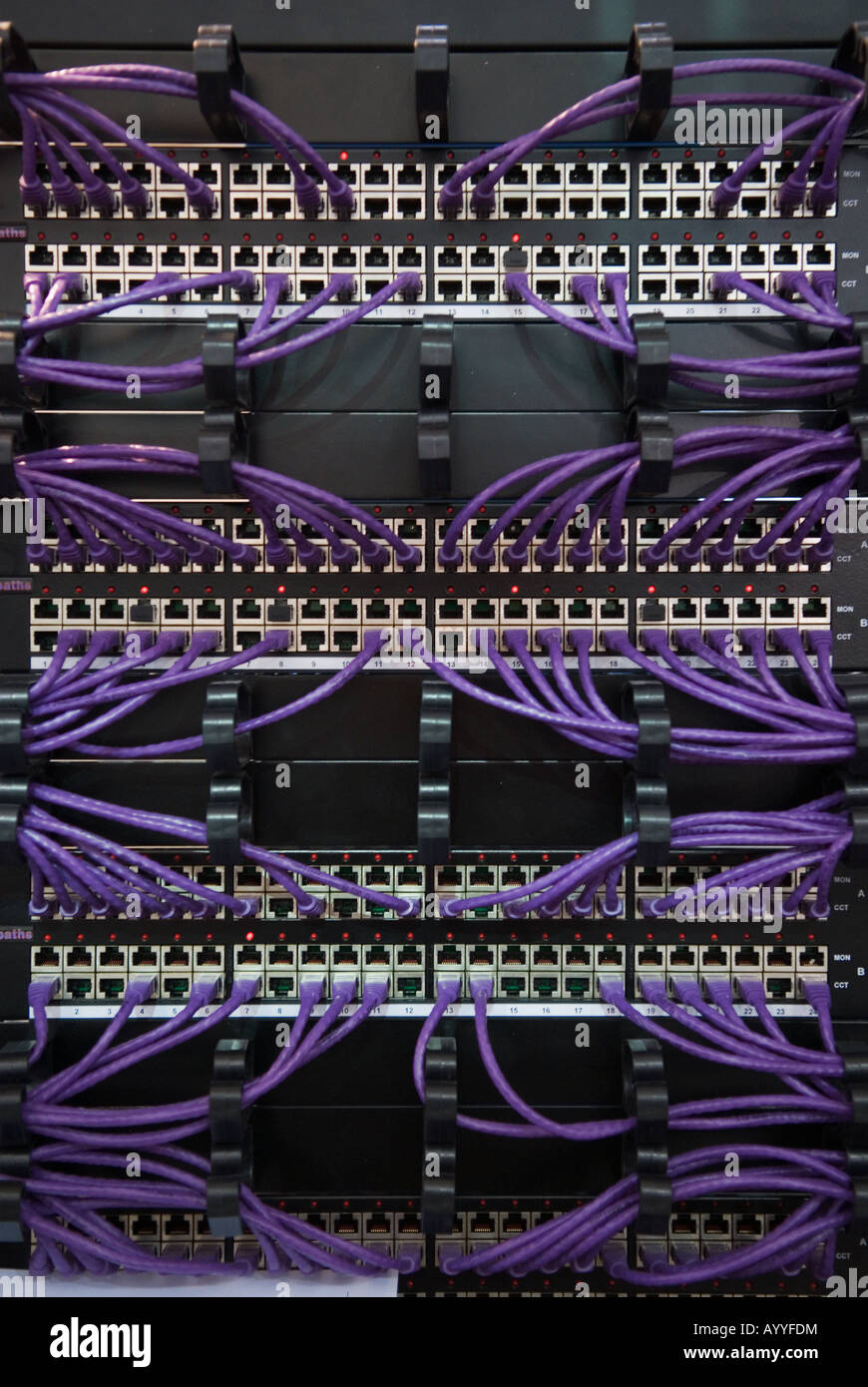 many violet ethernet cables connect several hubs Stock Photo - Alamy
