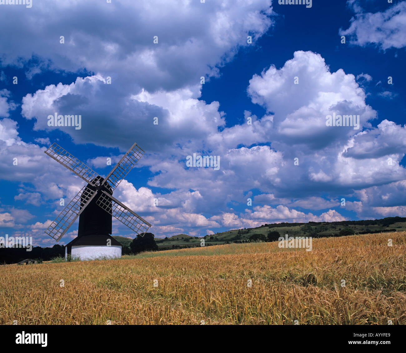 Pitstone windmill in the village of Ivinghoe in the chilterns ...