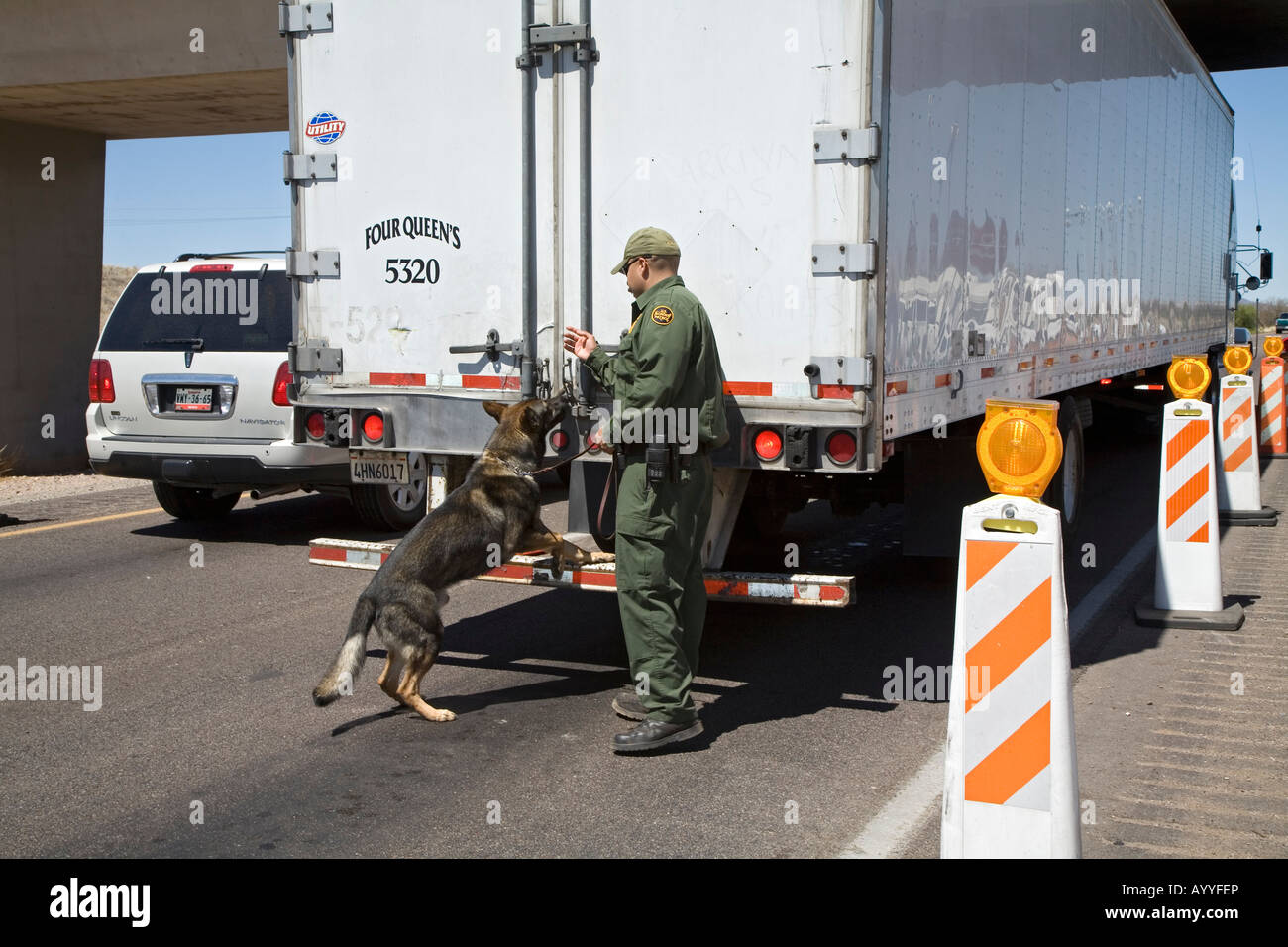 Are Border Patrol Dogs Used For Search And Rescue