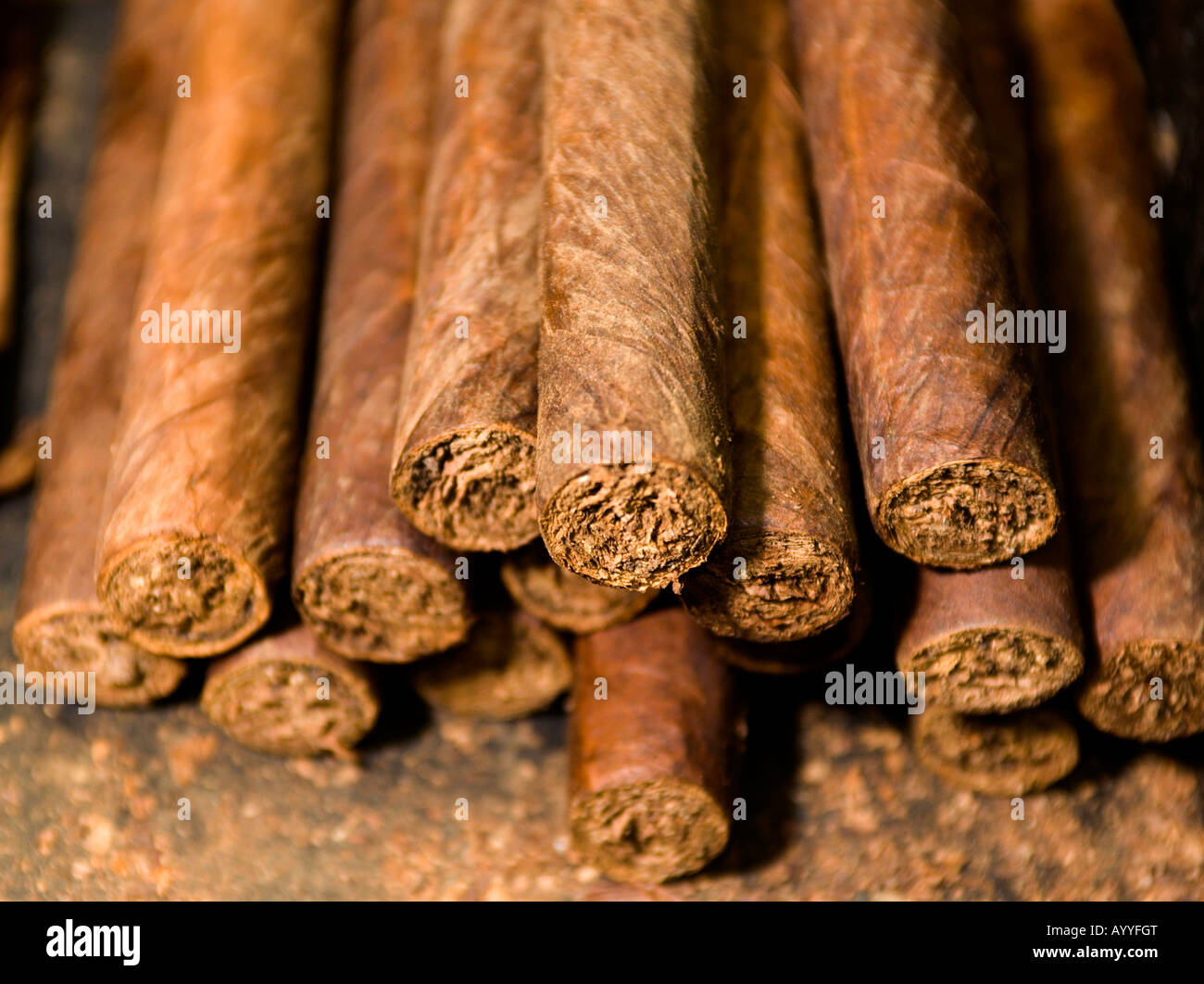 Dominican republic cigars tobacco caribbean hi-res stock photography ...