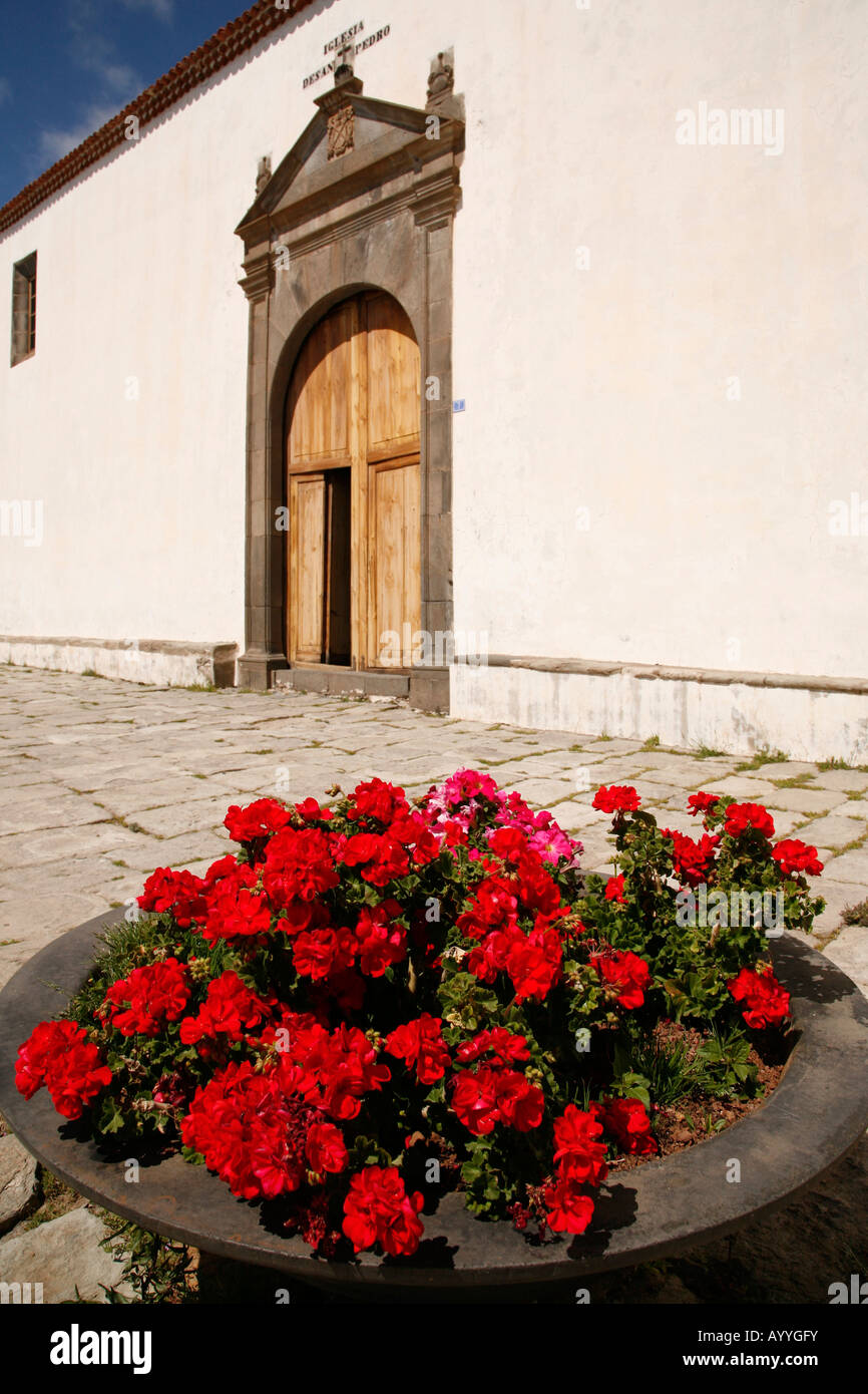 Red flowers outside a church in Tenerife Stock Photo - Alamy