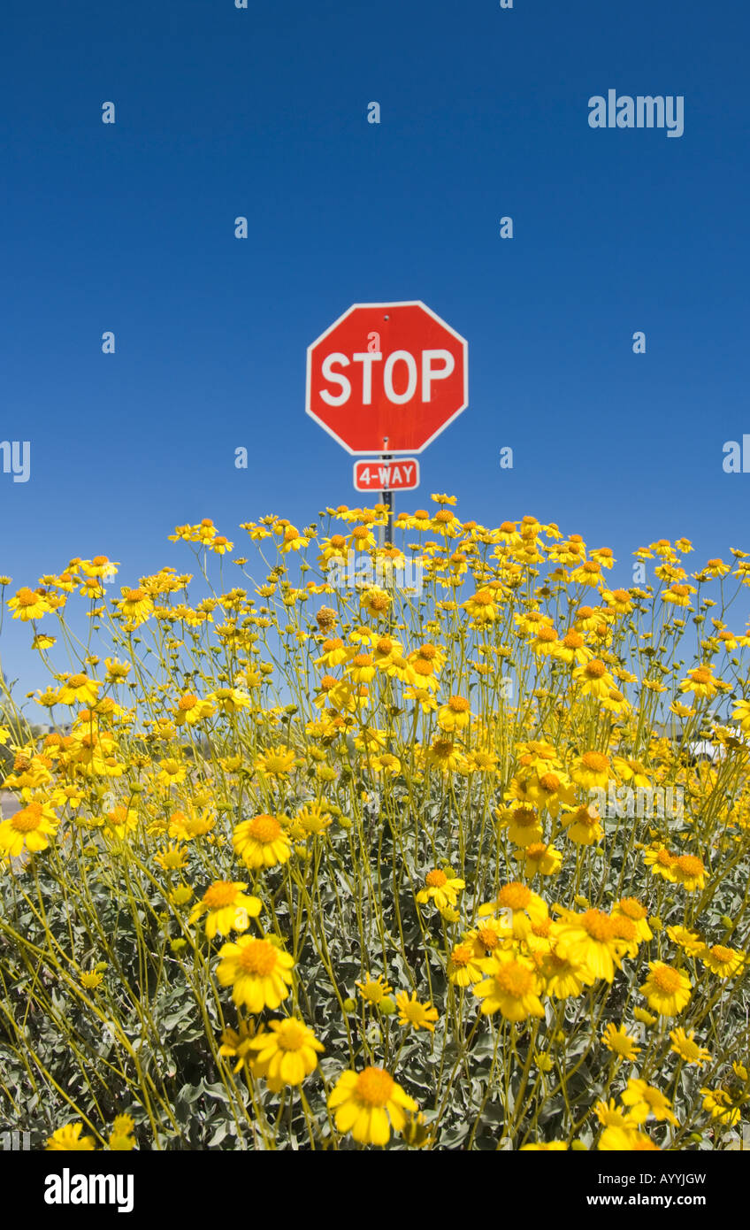 Stop sign with flowers hi-res stock photography and images - Alamy
