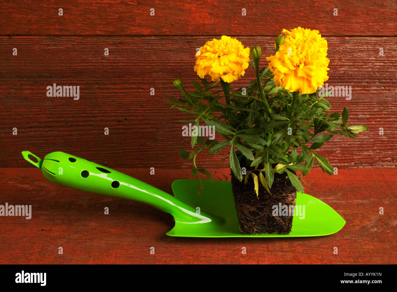 Trowel green nobody still hi-res stock photography and images - Alamy