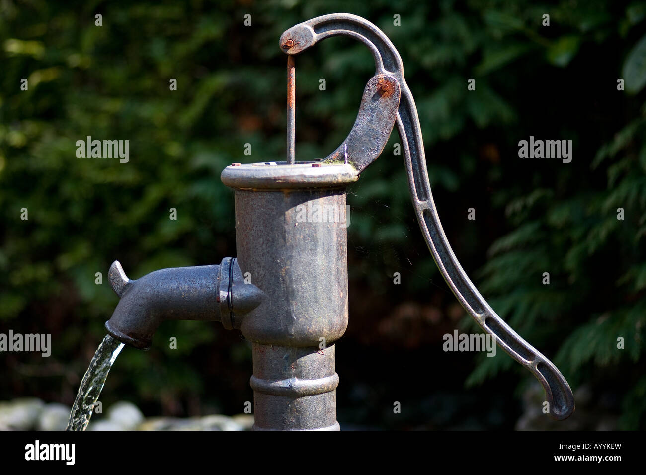 A water pump over a pond showing rust in bright sunshine Stock Photo ...