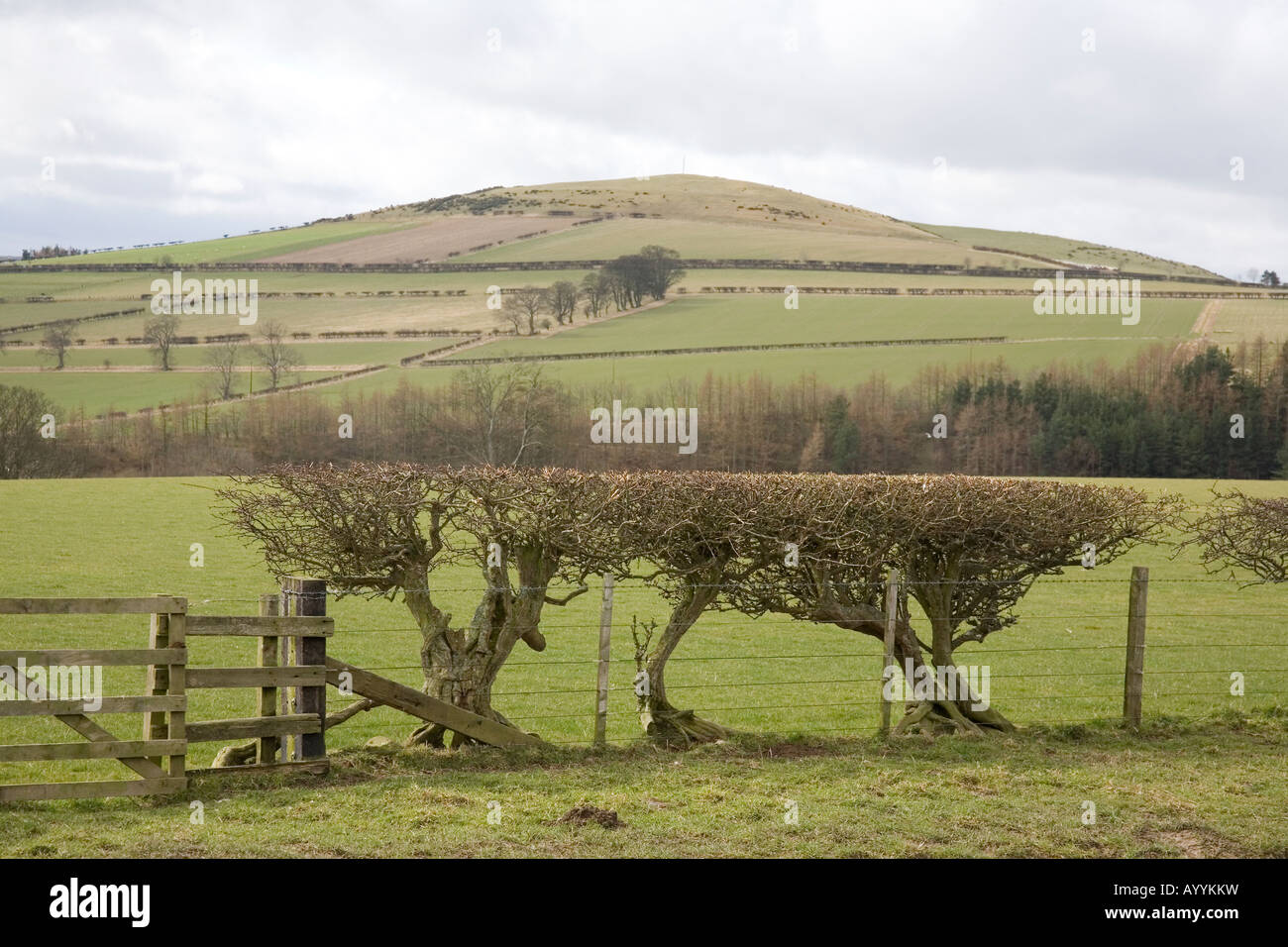 Traditional rural england hi-res stock photography and images - Alamy