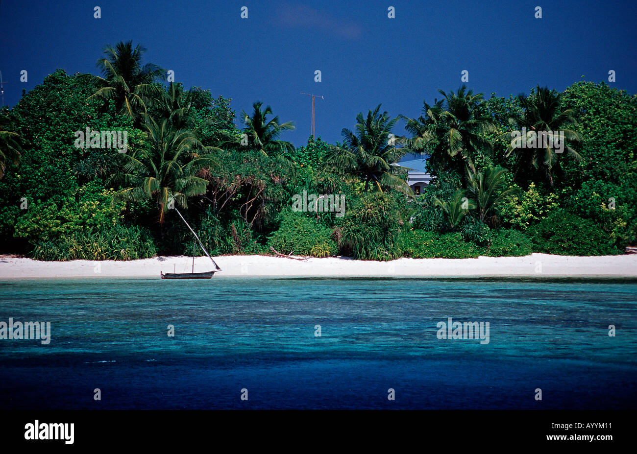 Native maldives island Rhasdoo Maldives Islands Indian ocean Rasdhoo ...