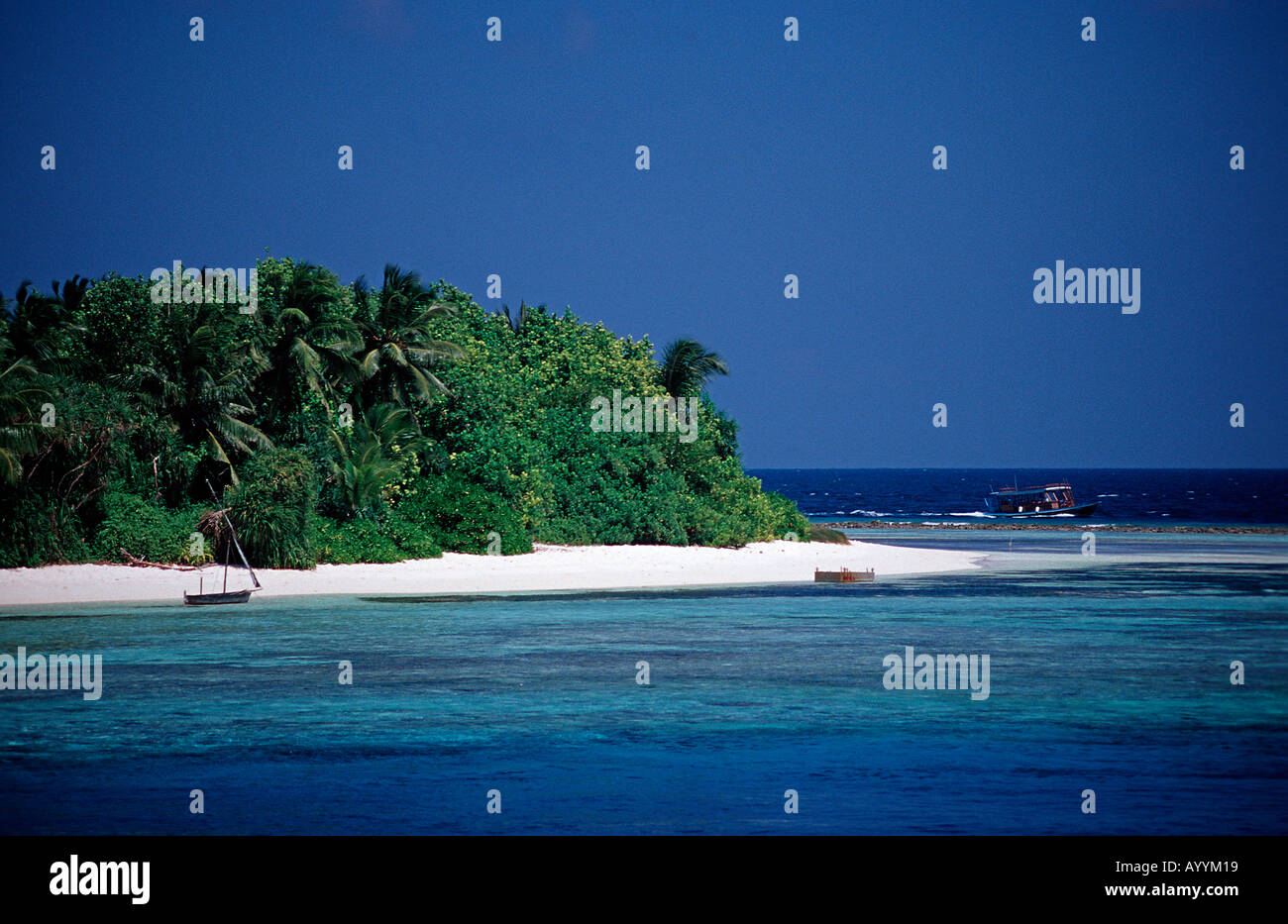 Native maldives island Rhasdoo Maldives Islands Indian ocean Rasdhoo ...